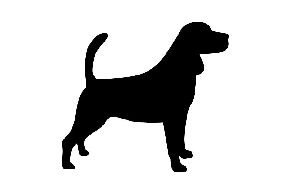 Kissan ja Koiran Sterilisaatio - Eläinlääkäriasema Taikatassu